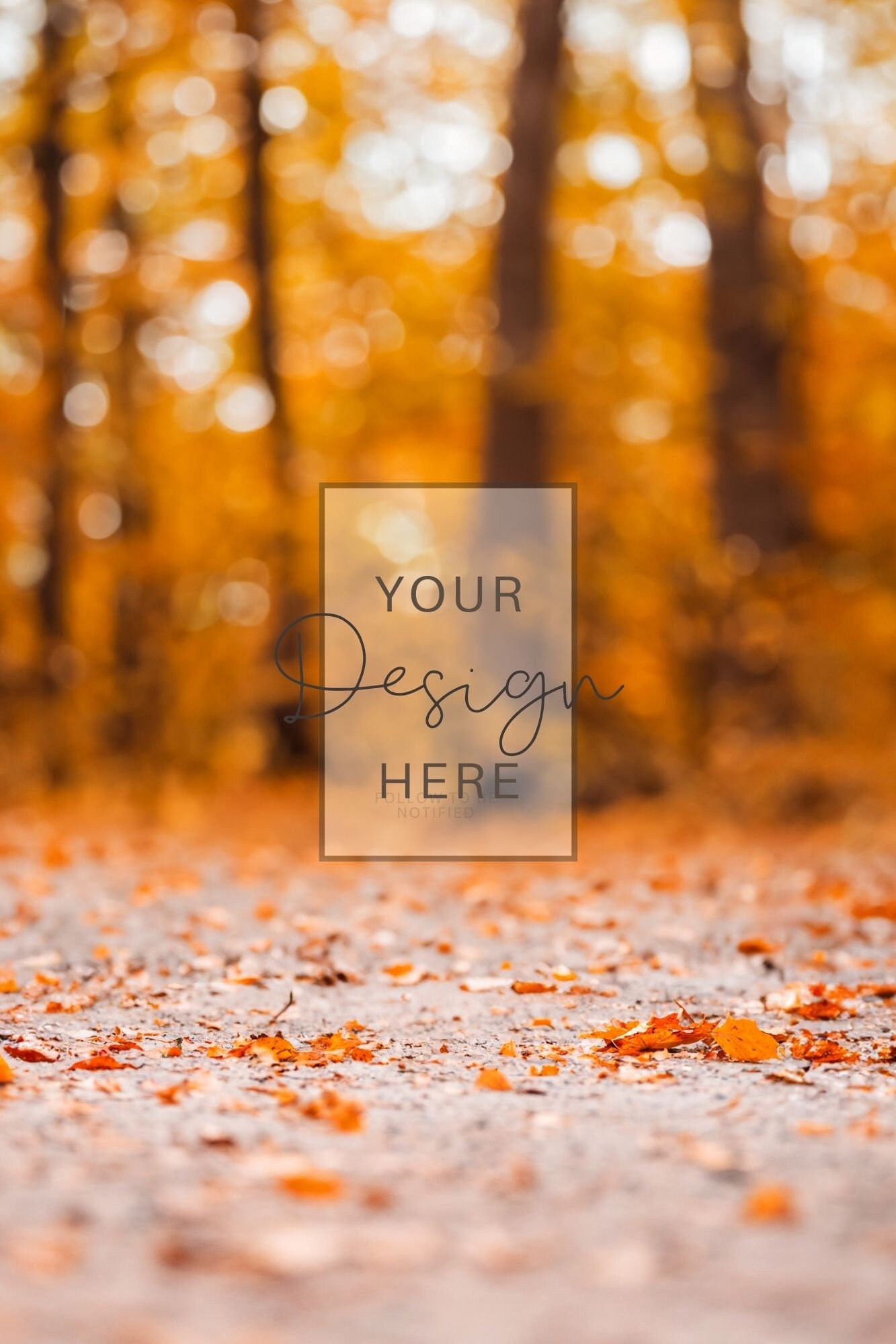 Set of 6 Fall Digital Backdrop, Fall Background, Photoshop Composite ...