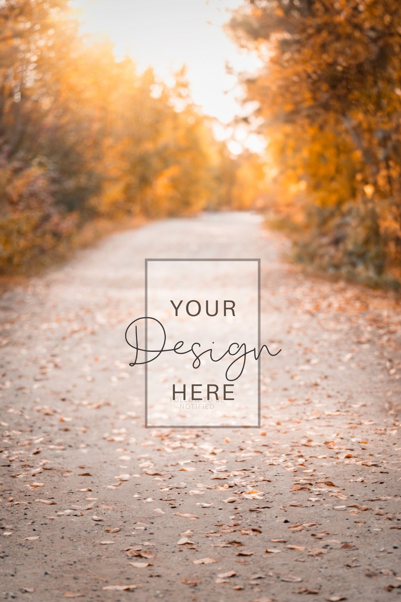 Set of 6 Fall Digital Backdrop, Fall Background, Photoshop Composite ...