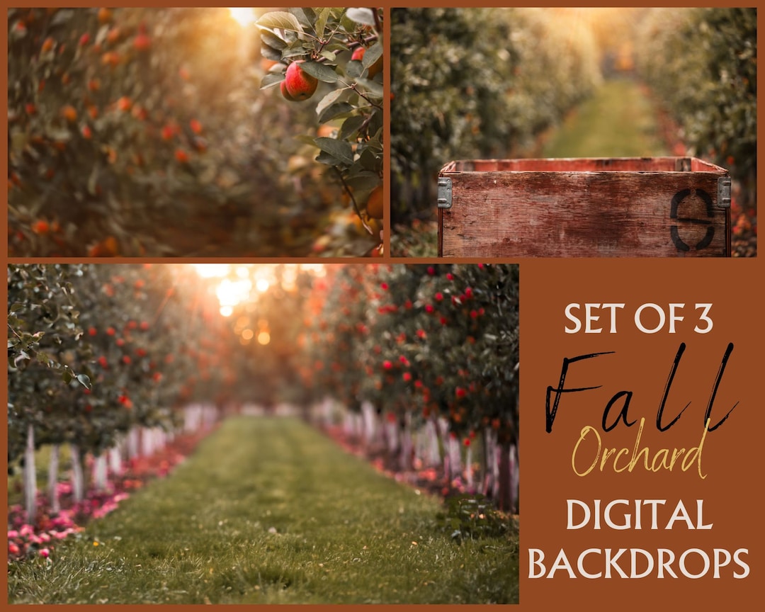 Set of 3 Apple Orchard Digital Backdrop, Fall Digital Background ...