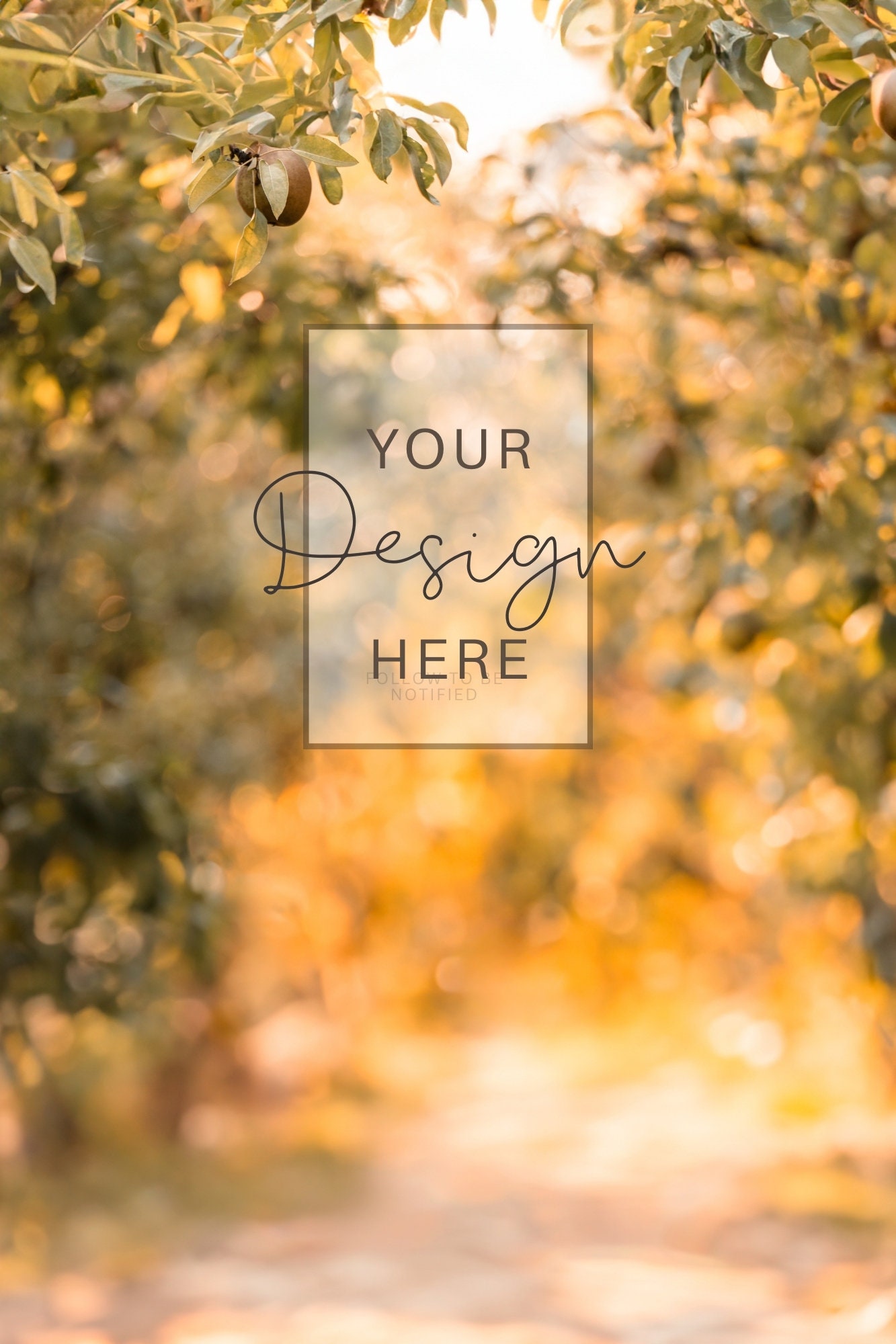 Set of 4 Fall Orchard Digital Backdrop, Fall Digital Background ...