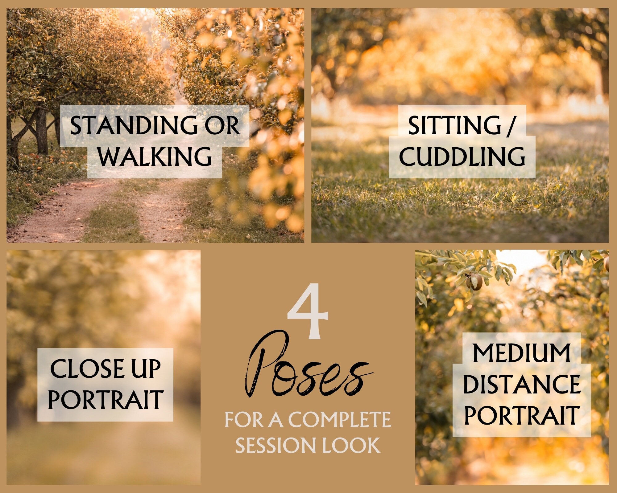 Set of 4 Fall Orchard Digital Backdrop, Fall Digital Background ...