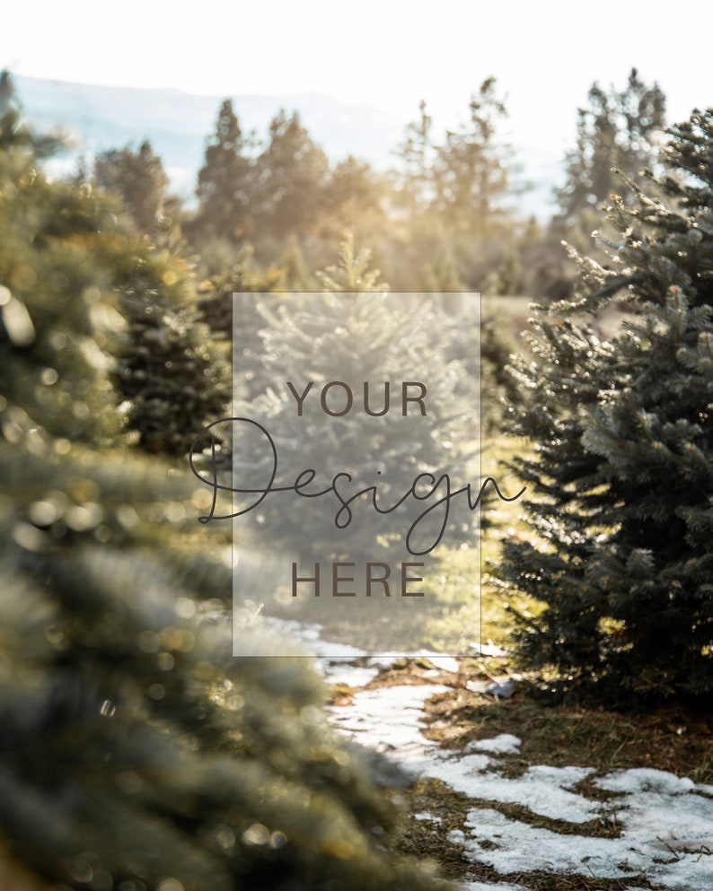 Set of 4 Christmas Tree Farm Digital Backdrop, Christmas Background ...