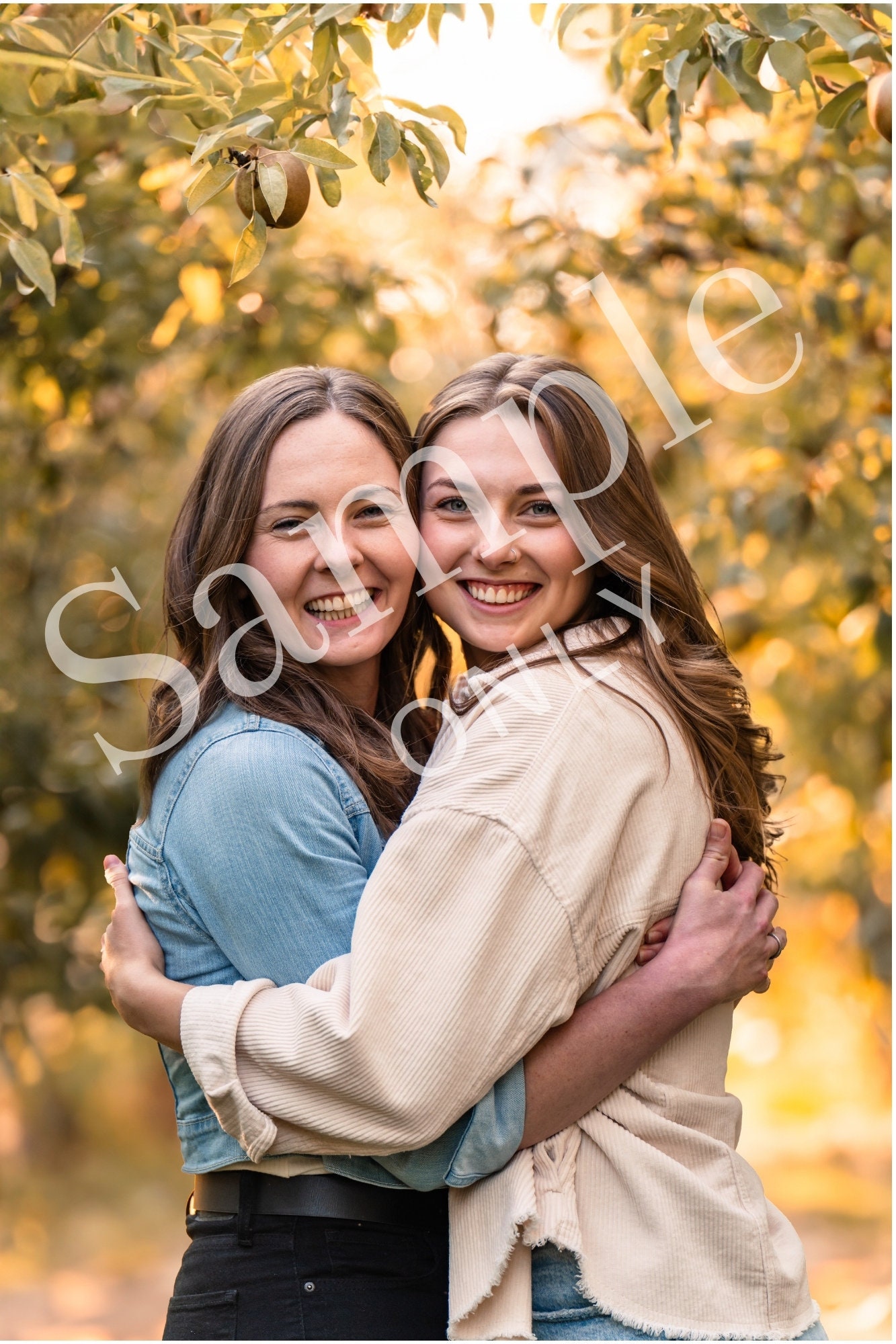 Set of 4 Fall Orchard Digital Backdrop, Fall Digital Background ...