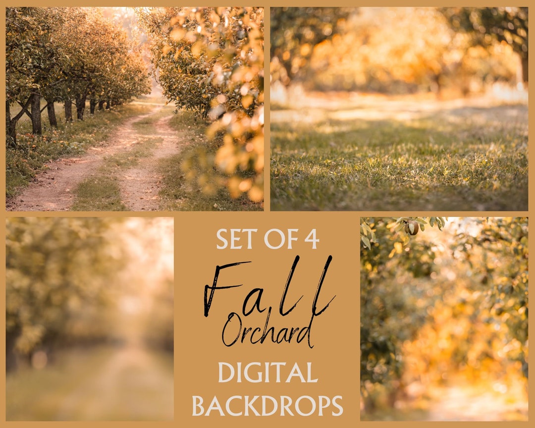 Set of 4 Fall Orchard Digital Backdrop, Fall Digital Background ...