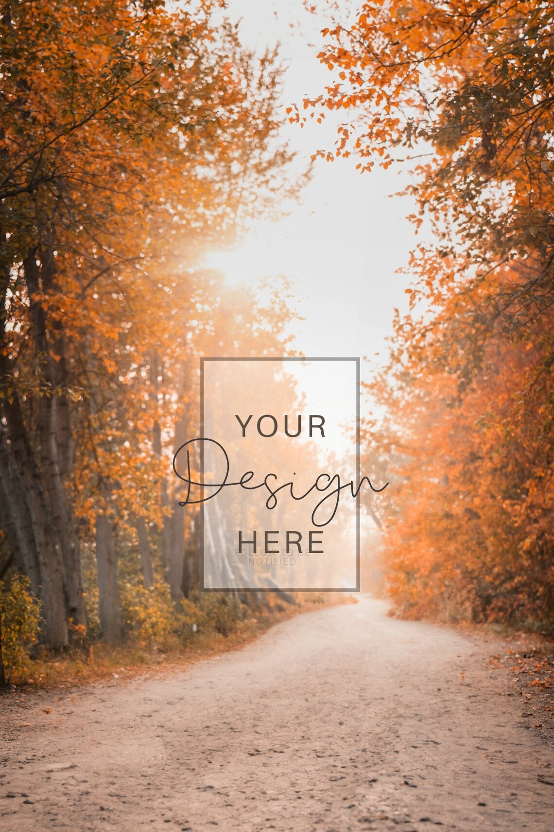 Set of 4 Fall Digital Backdrop, Fall Background, Photoshop Composite ...