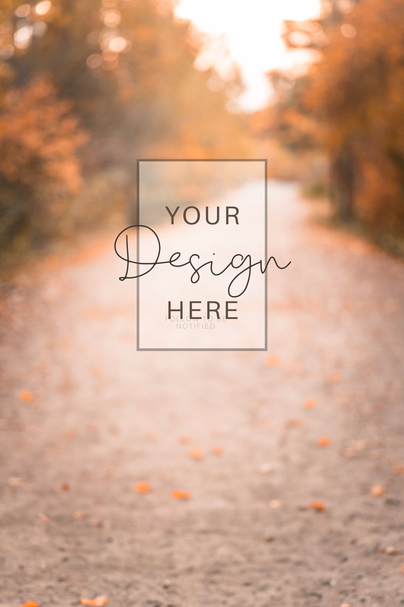 Set of 4 Fall Digital Backdrop, Fall Background, Photoshop Composite ...