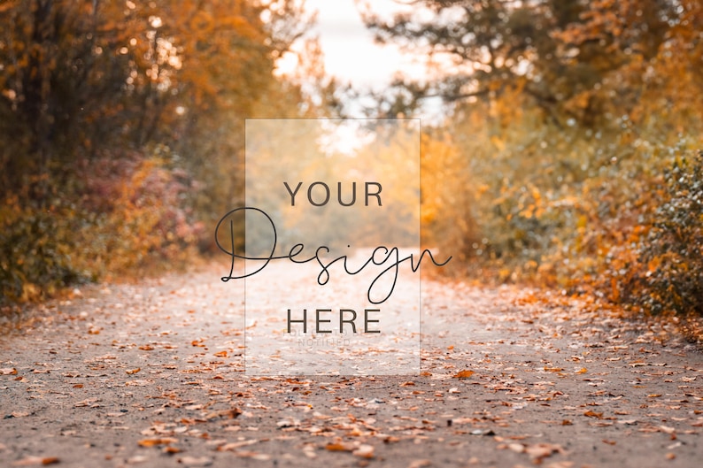 Set of 4 Fall Digital Backdrop, Fall Background, Photoshop Composite ...