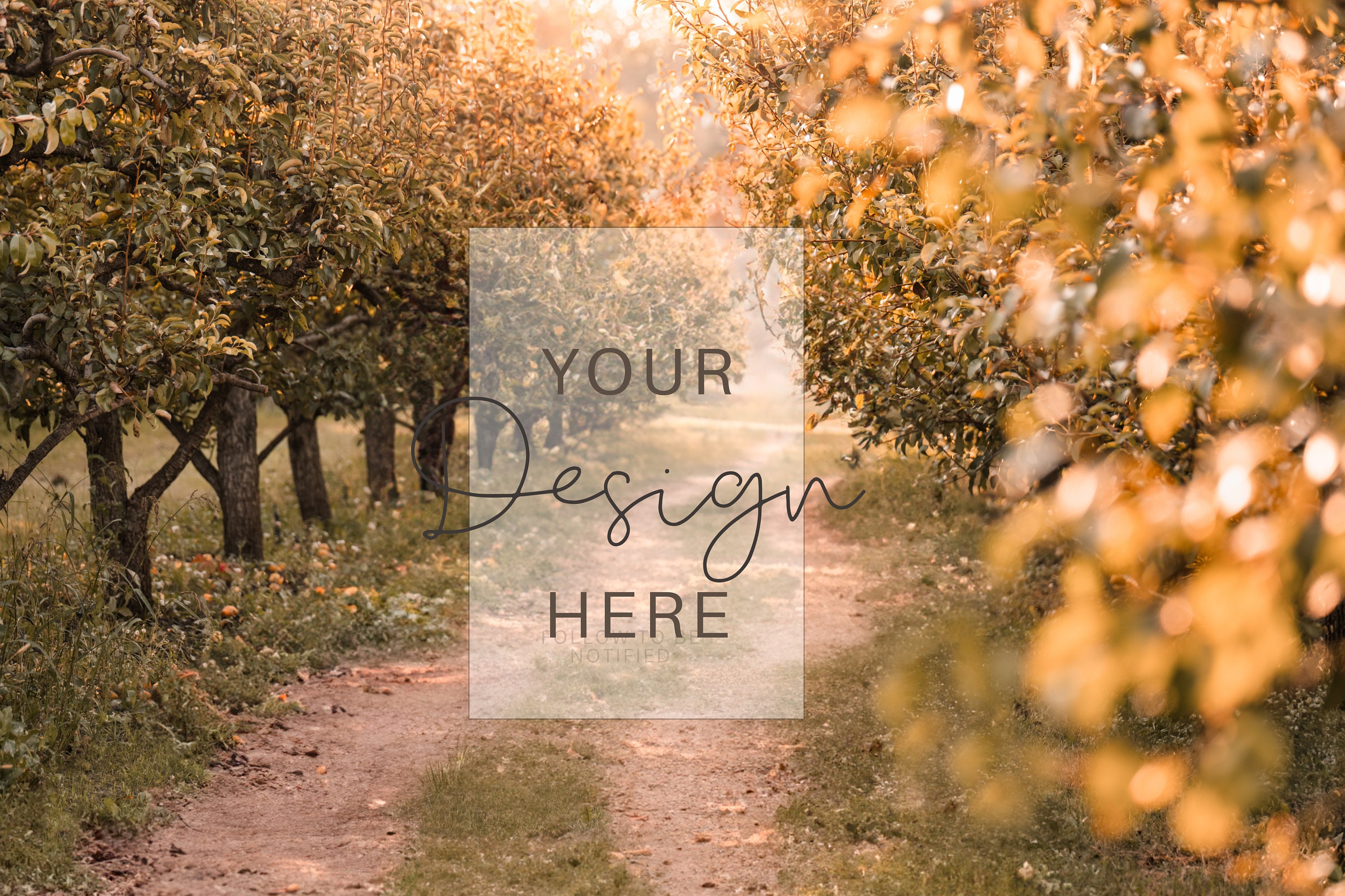 Set of 4 Fall Orchard Digital Backdrop, Fall Digital Background ...