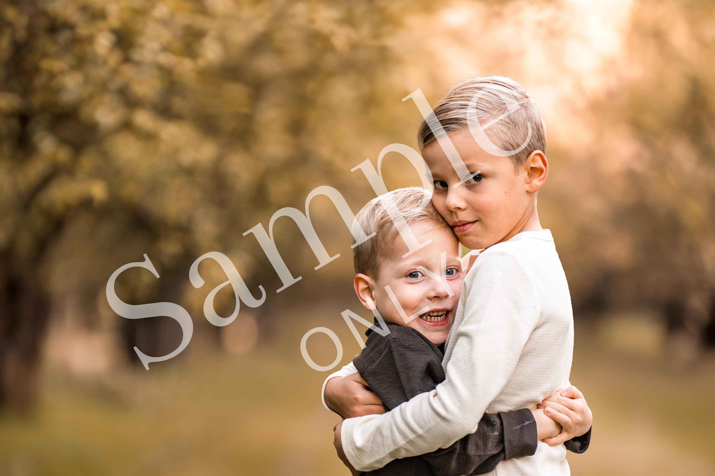 Set of 4 Fall Orchard Digital Backdrop, Fall Digital Background ...