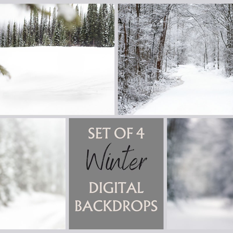 Winter Digital Backdrop - Etsy