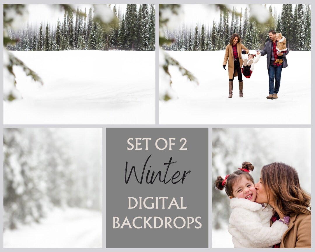 Winter Digital Backdrop Set of 2, Snowy Background, Photoshop Composite ...