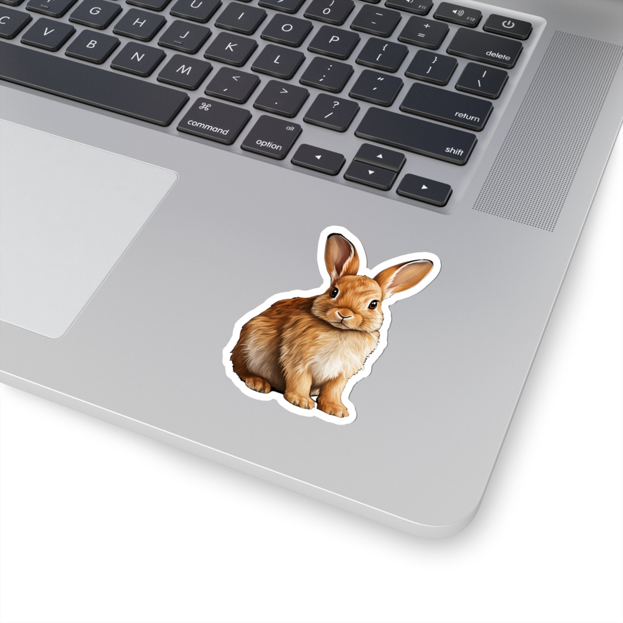 Dutch Rabbit Sticker Vinyl Laptop Sticker Decal - Etsy