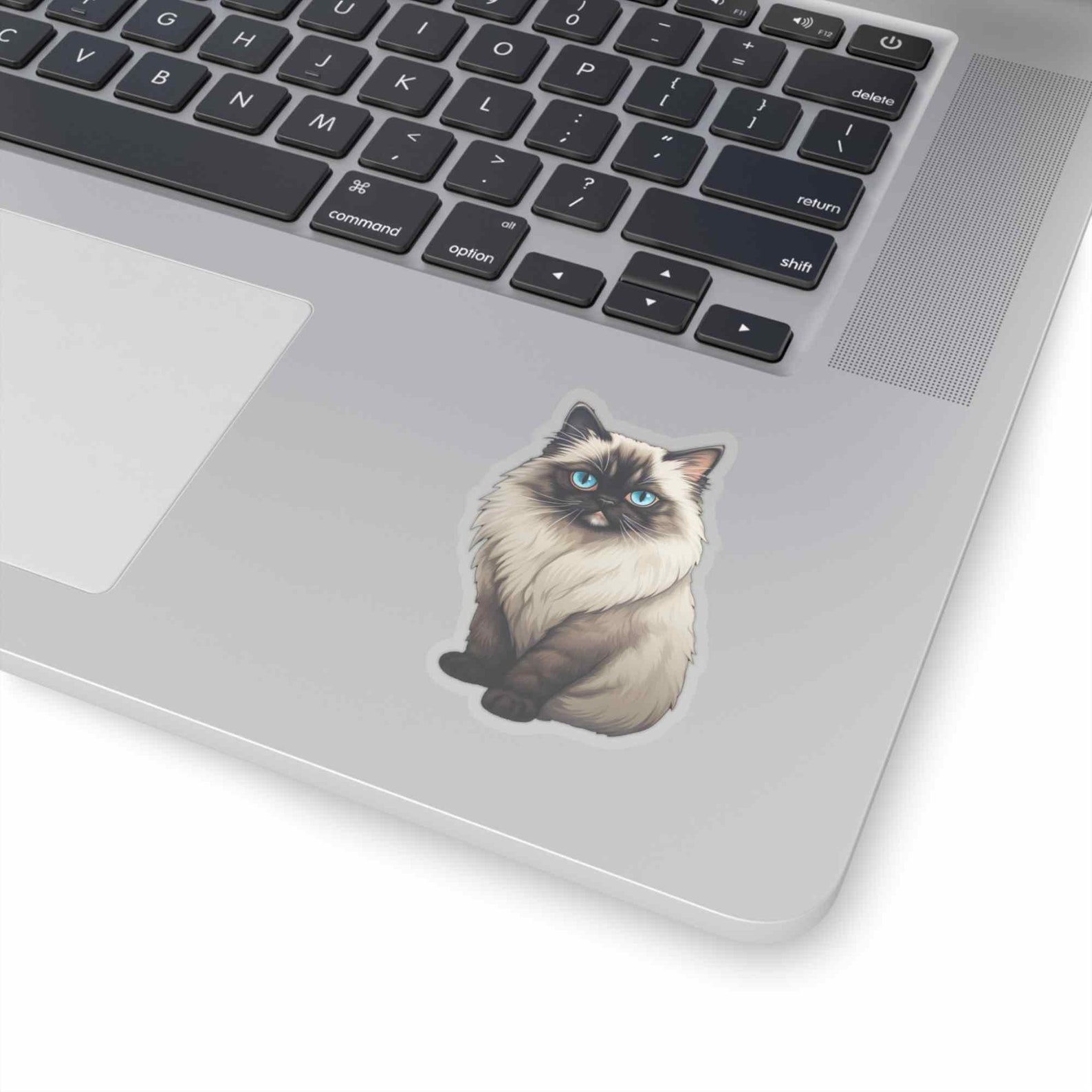 Himalayan Cat Sticker Vinyl Laptop Sticker Decal - Etsy