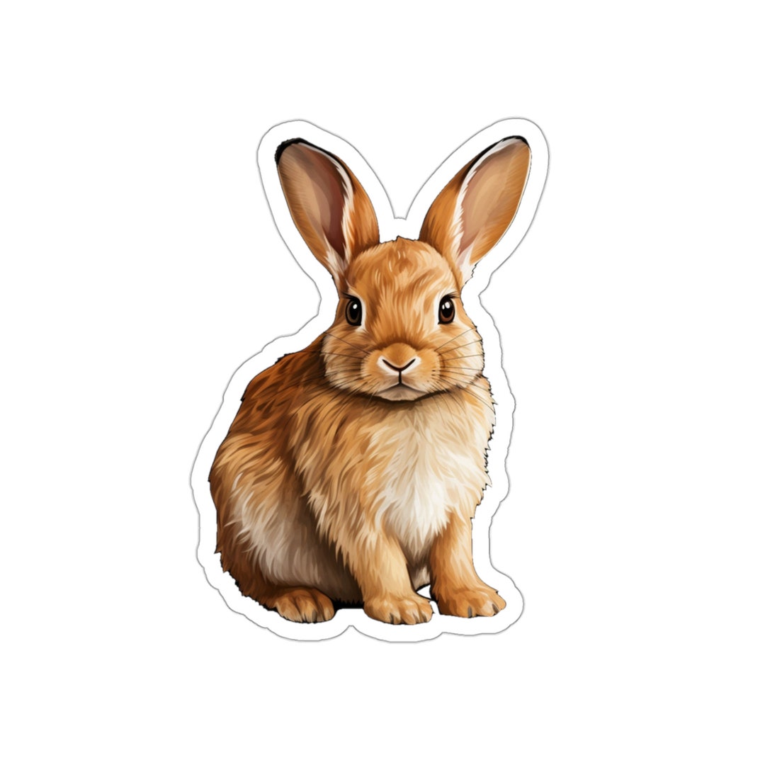 Dutch Rabbit Sticker Vinyl Laptop Sticker Decal - Etsy
