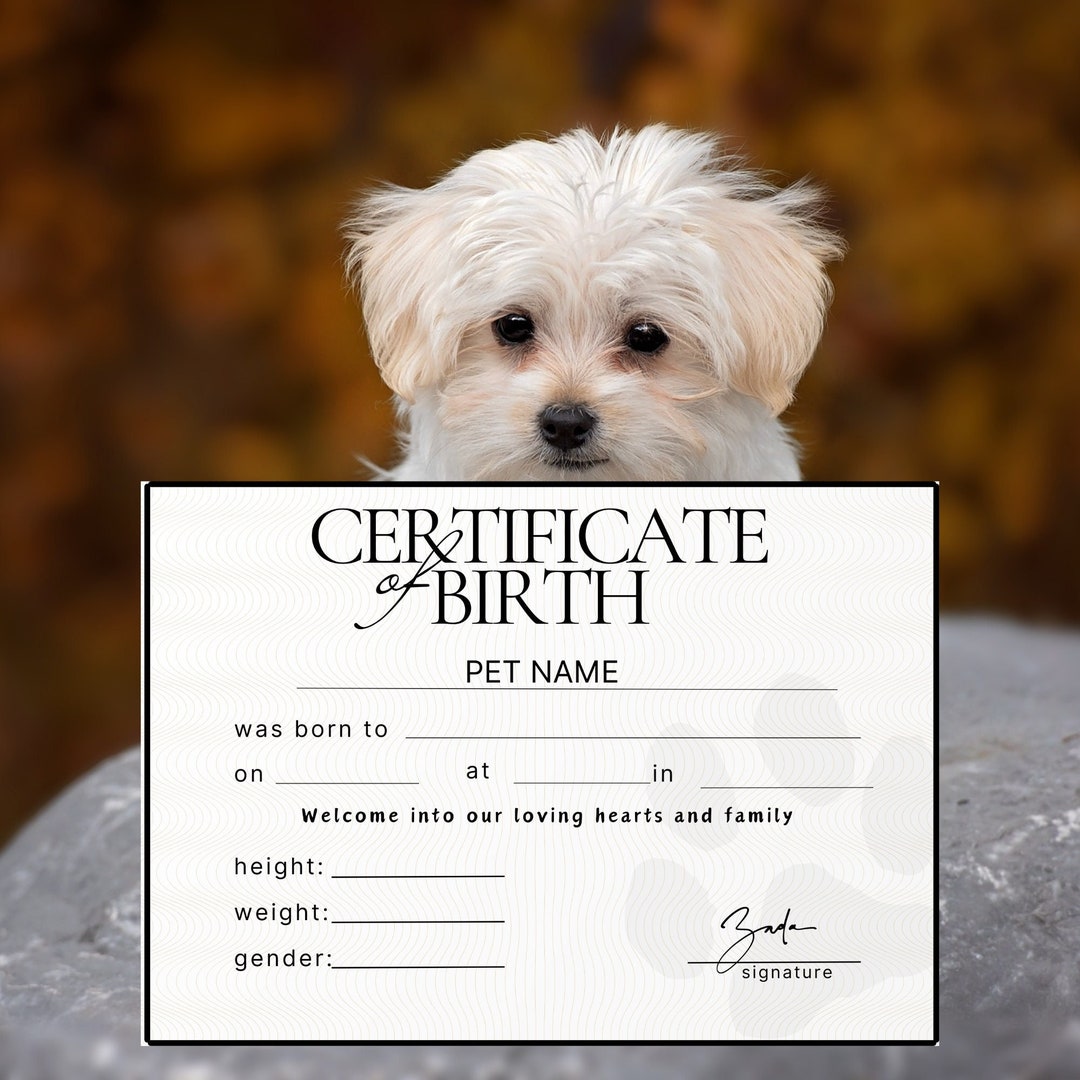 Puppy Birth Party Certificate/ Editable Puppy 1st Birthday Certificate ...