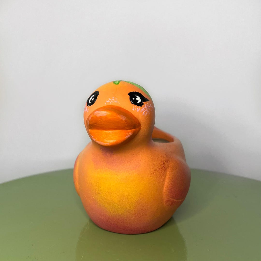 Peach Duck, Indoor Plant Pot, Hand Painted - Etsy