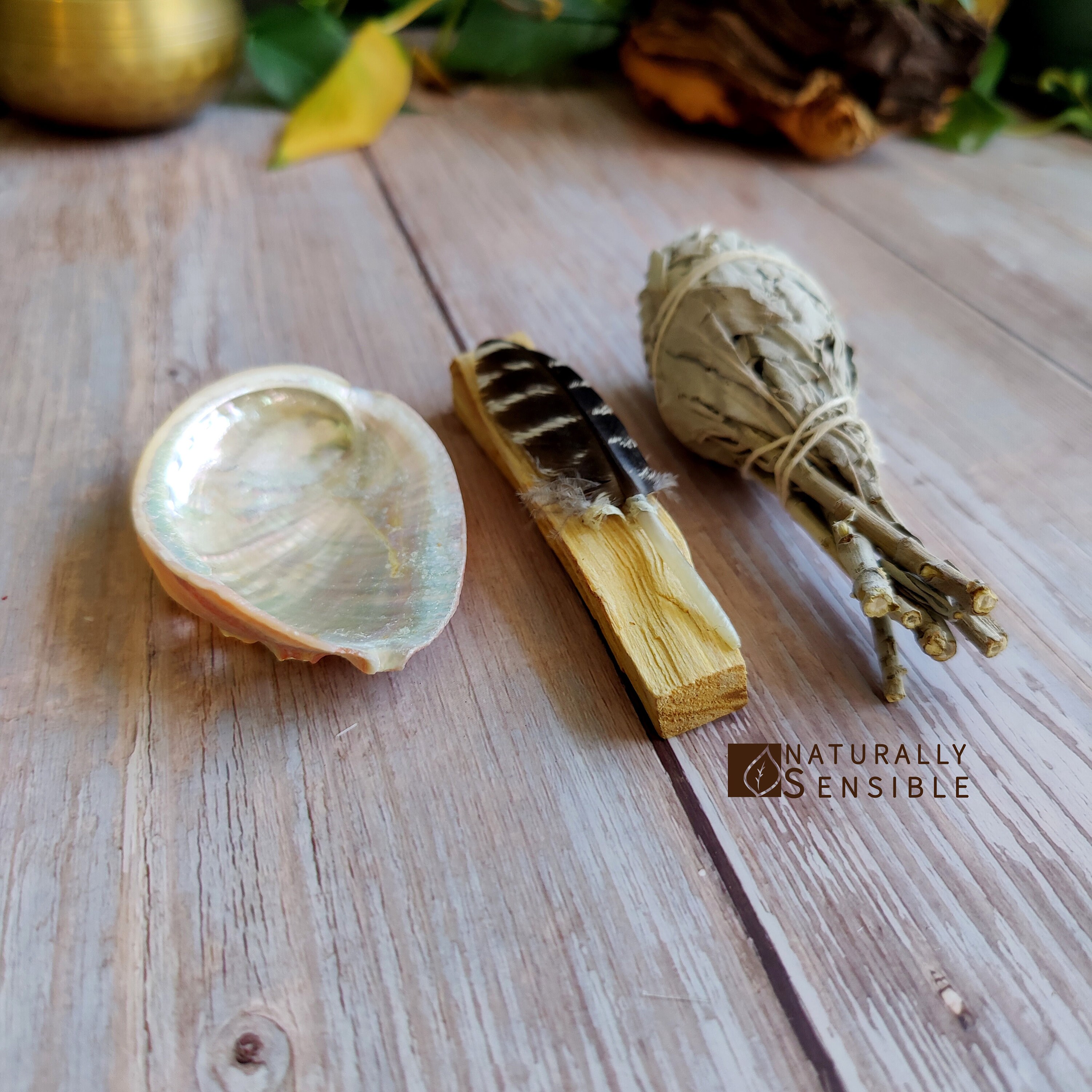 Beginner's Smudging Kit Smudging Starter Set Energy - Etsy