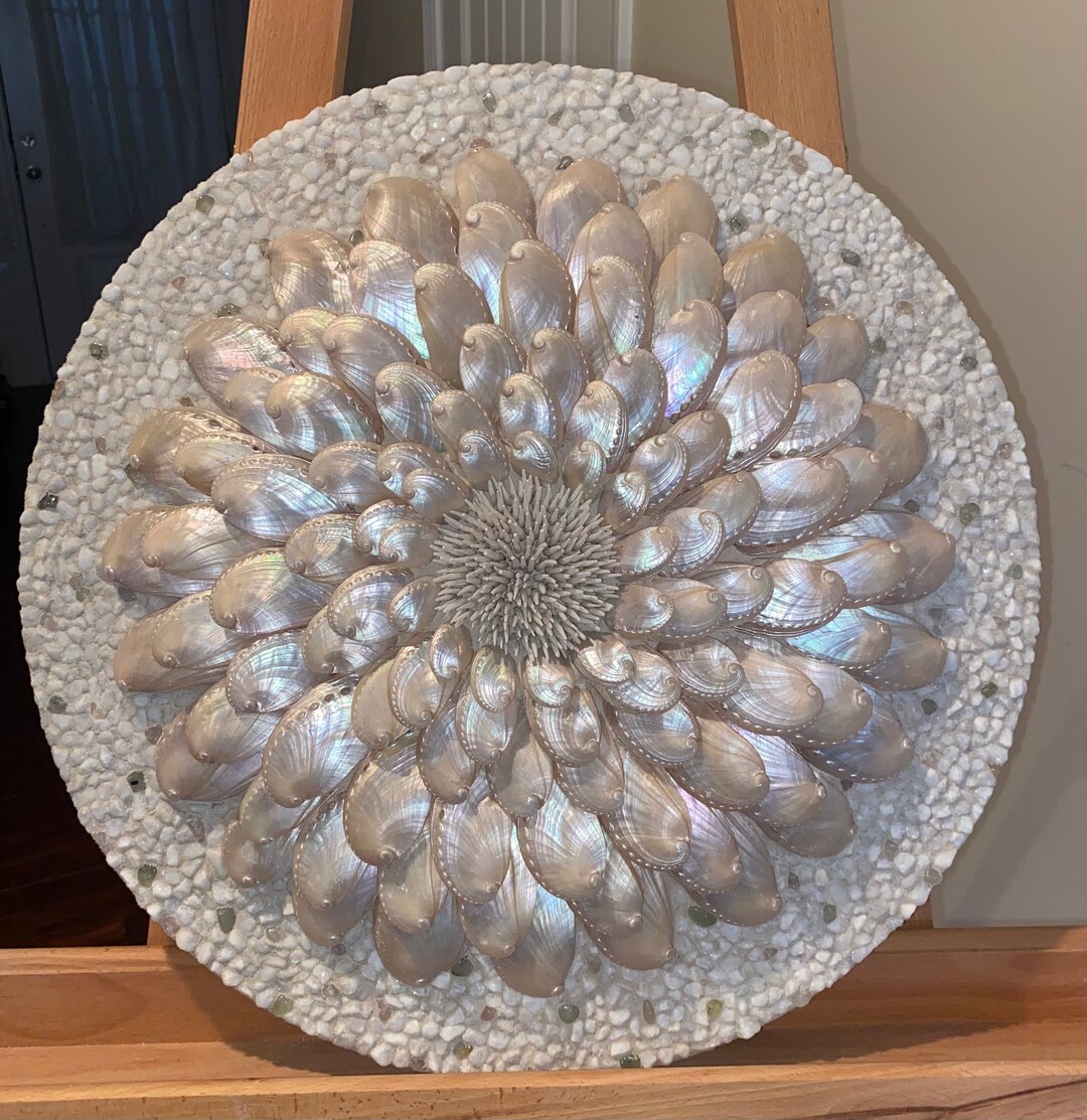 One of a Kind, Handmade, Round, Wall Art, Floral Sea Shell Mosaic. - Etsy