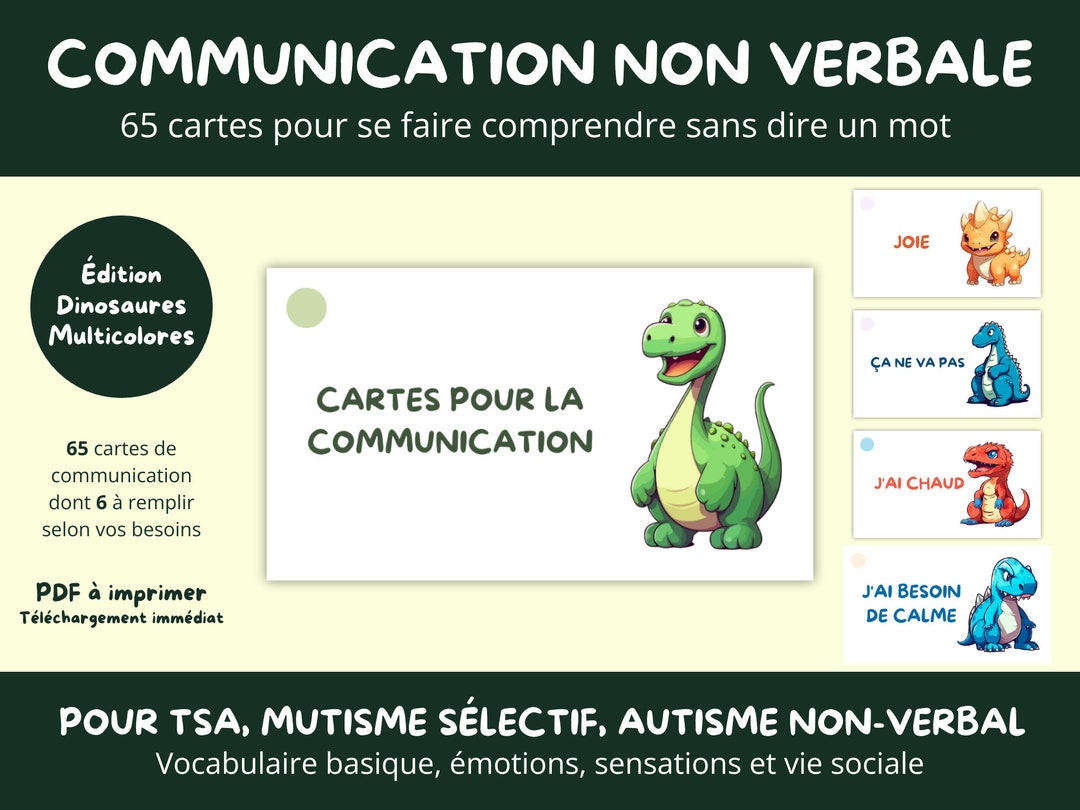 BUNDLE Communication Cards Autistic Person ASD Autism Selective Mutism ...