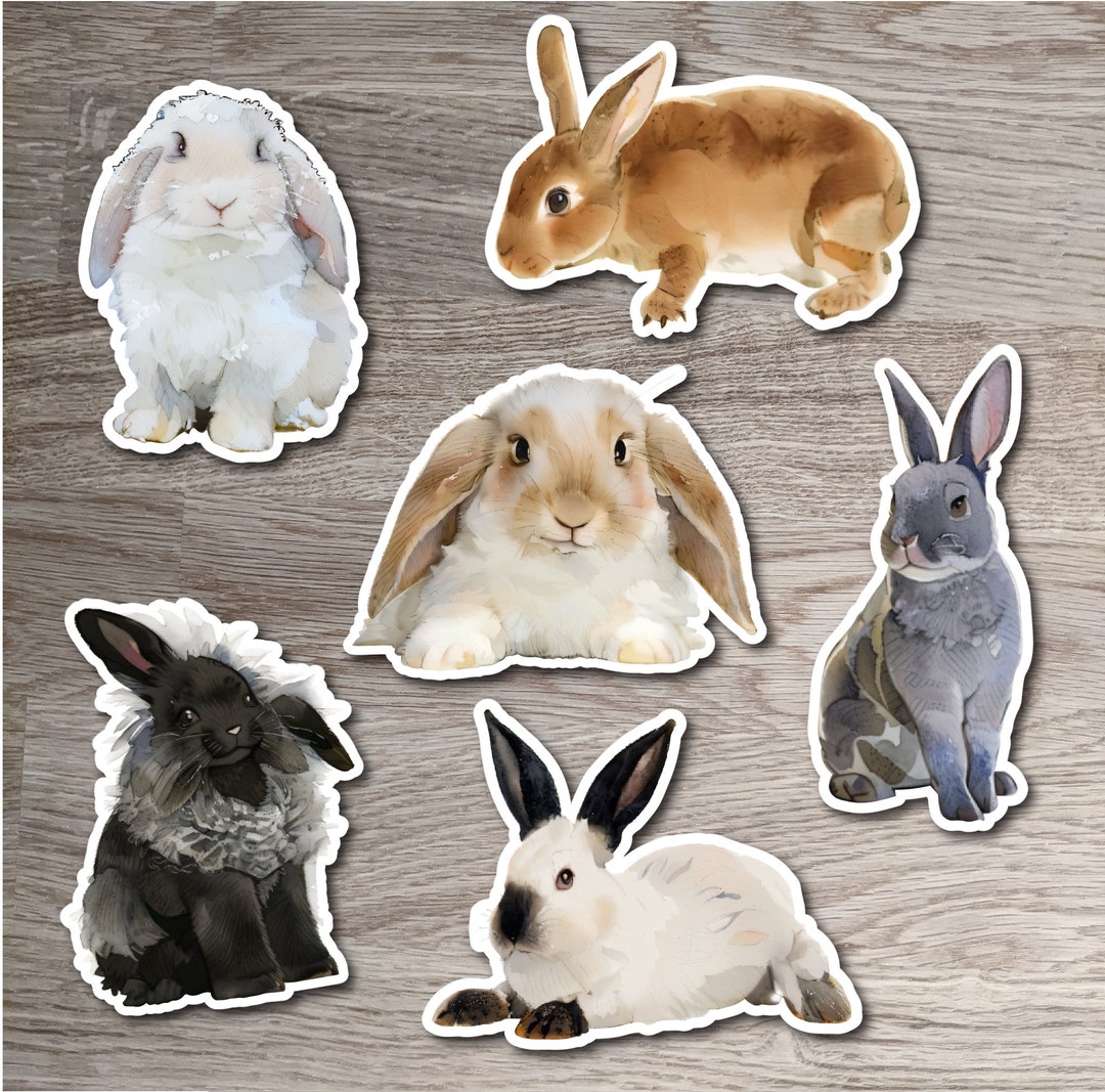 Animal Pet Rabbit Sticker Bundle, Beige or Grey Rex Rabbit, Californian ...