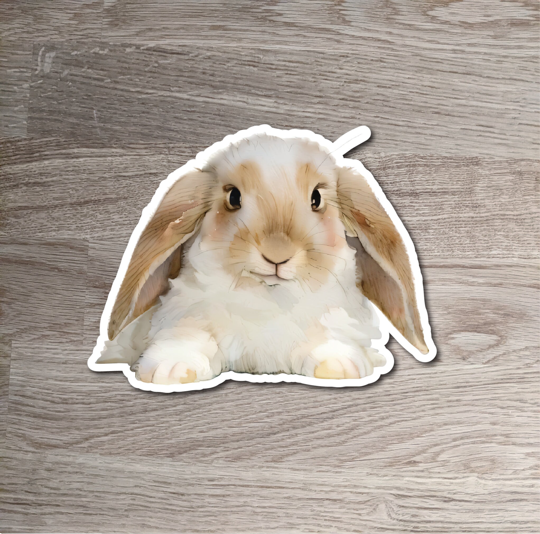 Animal Pet Rabbit Sticker Bundle, Beige or Grey Rex Rabbit, Californian ...