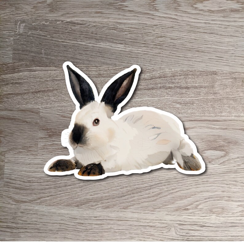 Animal Pet Rabbit Sticker Bundle, Beige or Grey Rex Rabbit, Californian ...