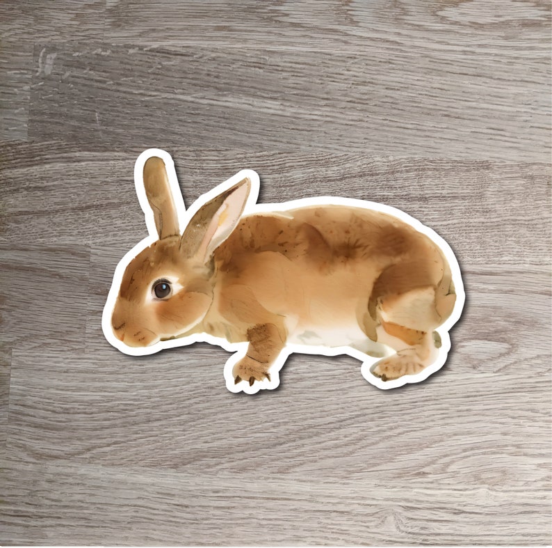 Animal Pet Rabbit Sticker Bundle, Beige or Grey Rex Rabbit, Californian ...