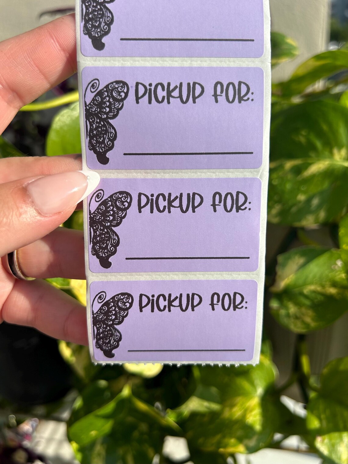 Pick up Butterfly Stickers • Pick up for Stickers • Pick up Name ...