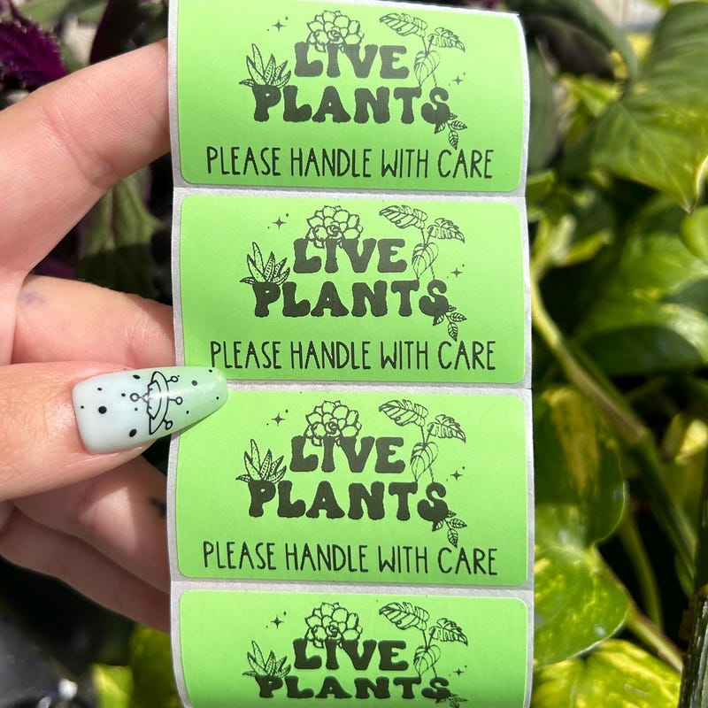 The Plant Inside - Etsy