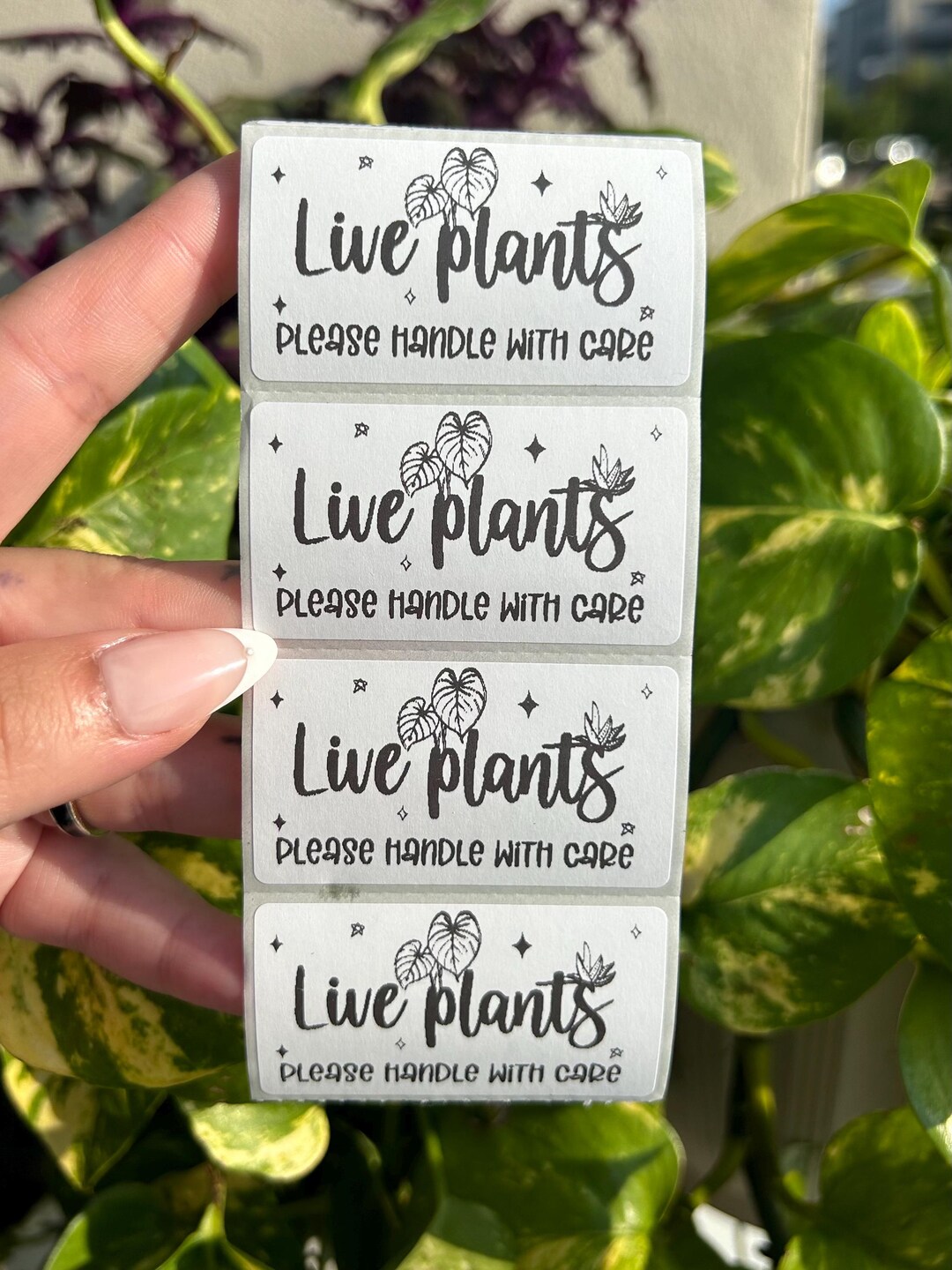 Live Plants Sticker • Handle With Care Stickers • Live Plants Inside ...