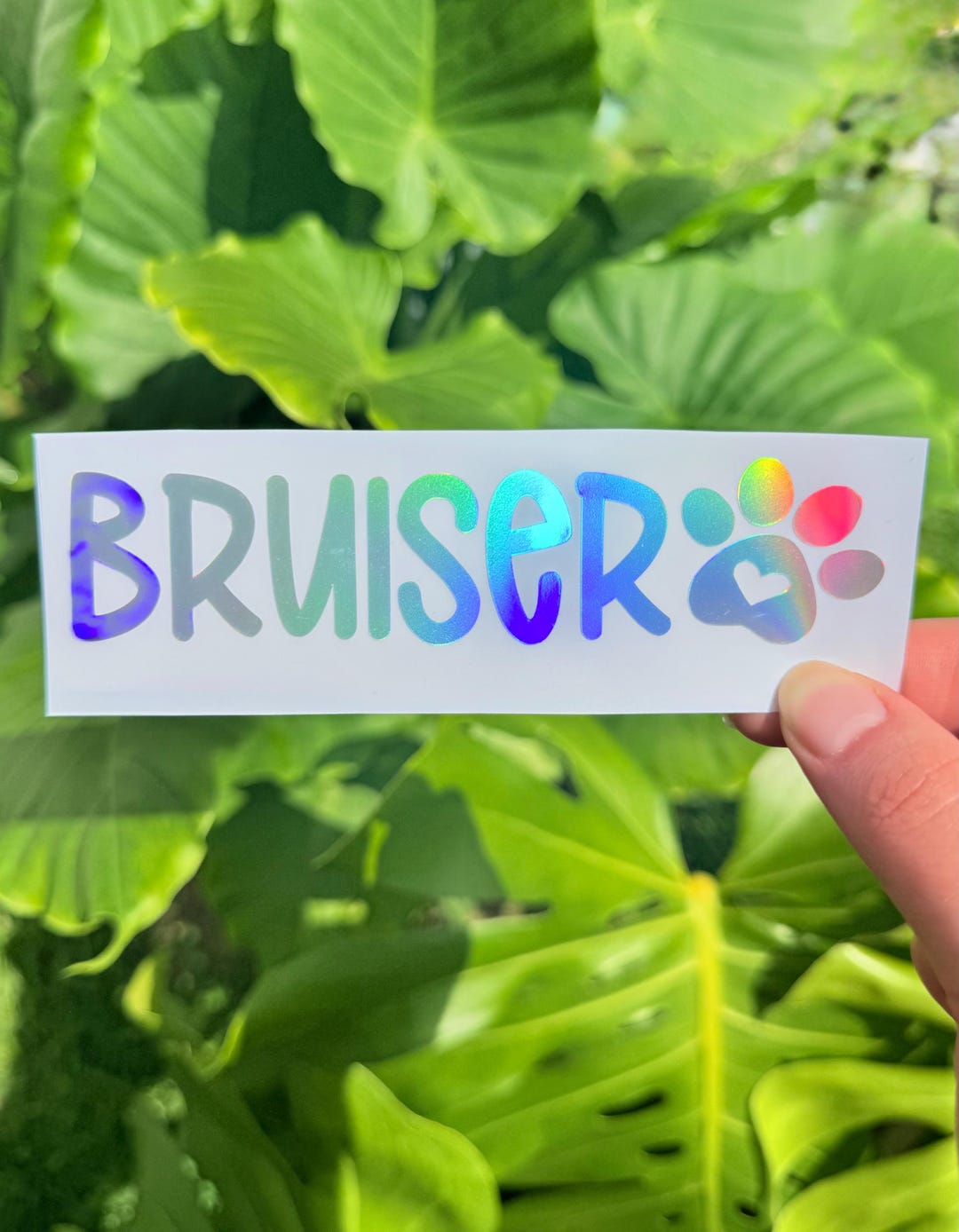 Personalized Pet Name Decal • Custom Pet Name Sticker • Dog Paw Name ...