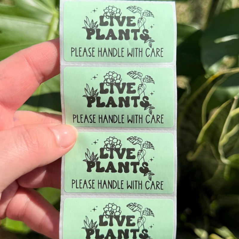 Plant Stickers - Etsy