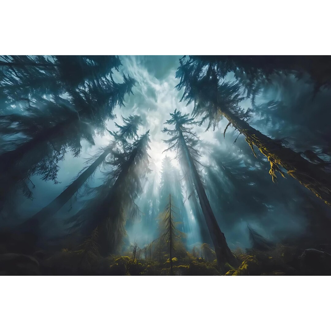 Set of 5 High-resolution Digital Art Prints, Nature-inspired Abstract ...