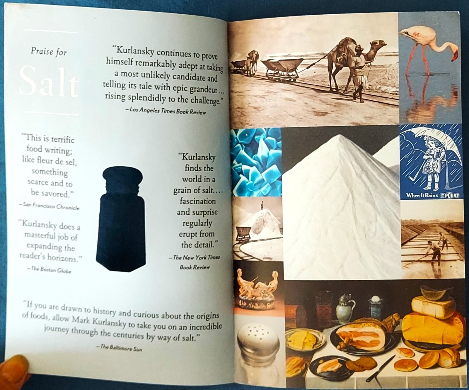 Salt: A World History - Etsy