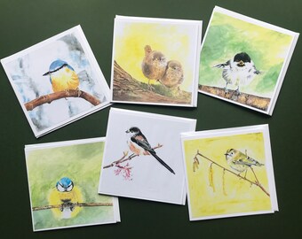Garden Birds Greeting Cards pack of 6 Blank Inside Prints of Hand Drawn ...