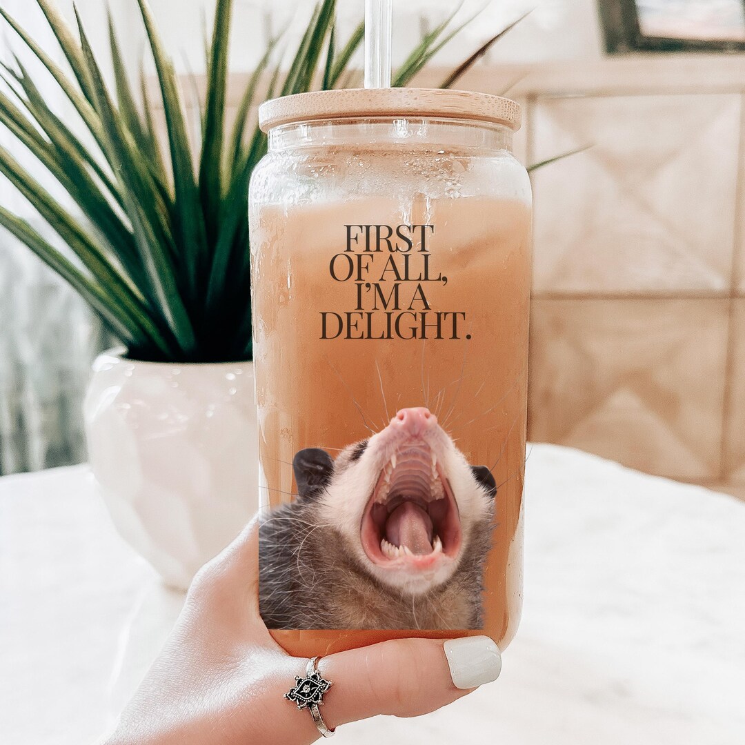 Funny Opossum Angry Opossum Glass Tumbler, First of All, I'm a Delight ...