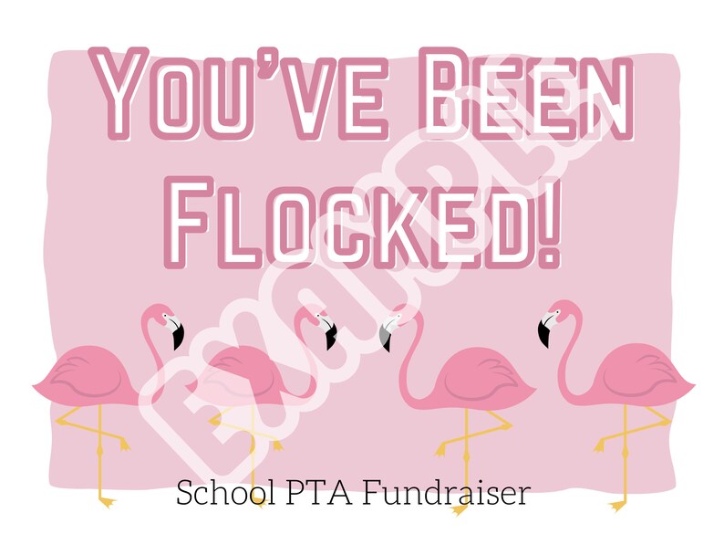 PTO/PTA Flock A Friend Fundraiser Bundle - Etsy