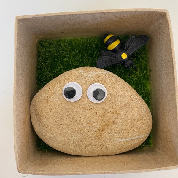 Pet Rock - Etsy