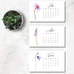 2025 Calendar Watercolor Wildflowers 12 Month Desktop and Wall Calendar ...