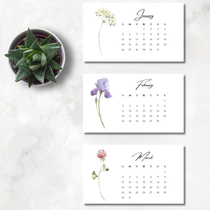 2025 Calendar Watercolor Wildflowers 12 Month Desktop and Wall Calendar ...