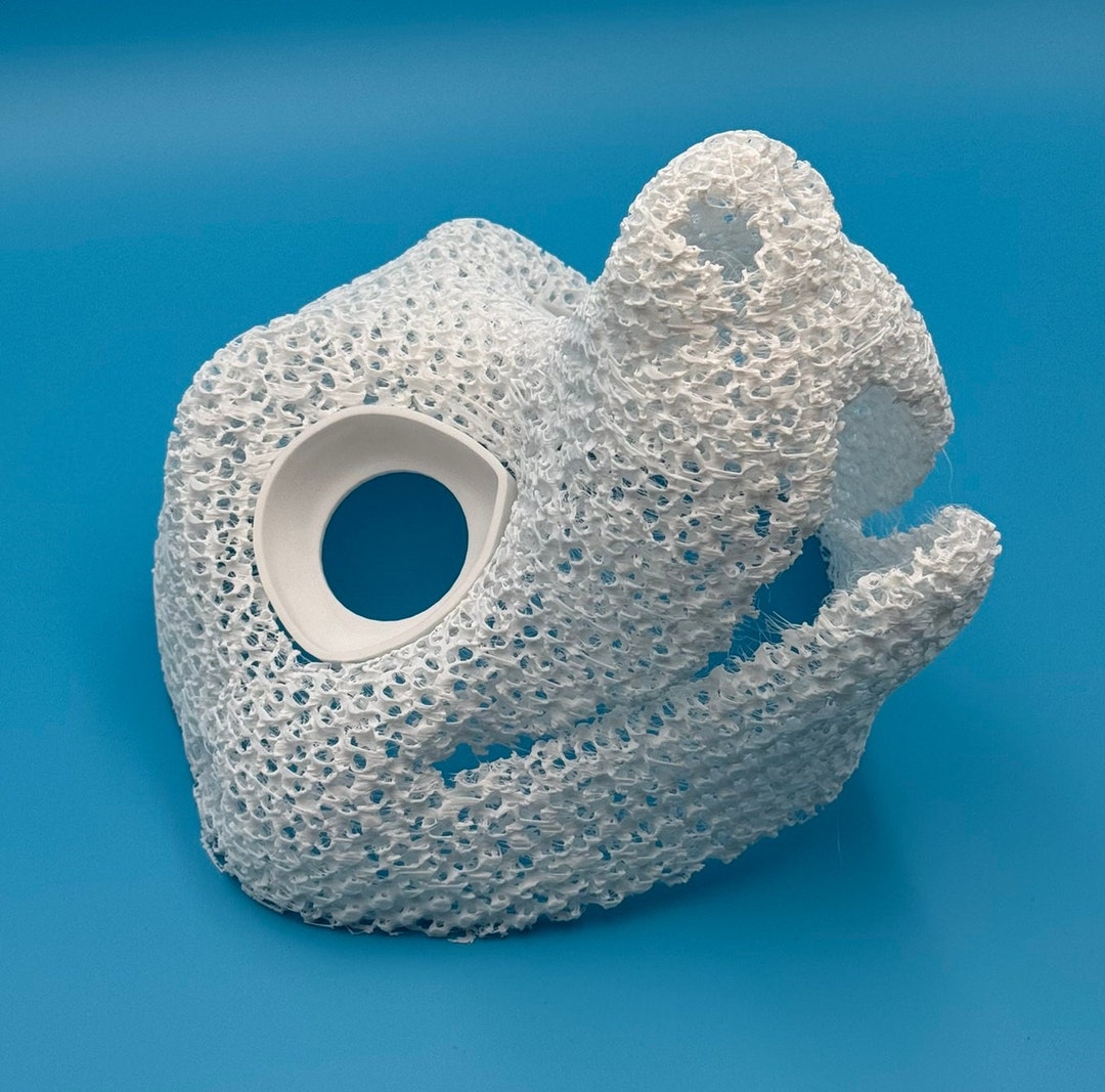 Canine 3D Printed TPU Fursuit Head Base - Flexible, Soft - Etsy
