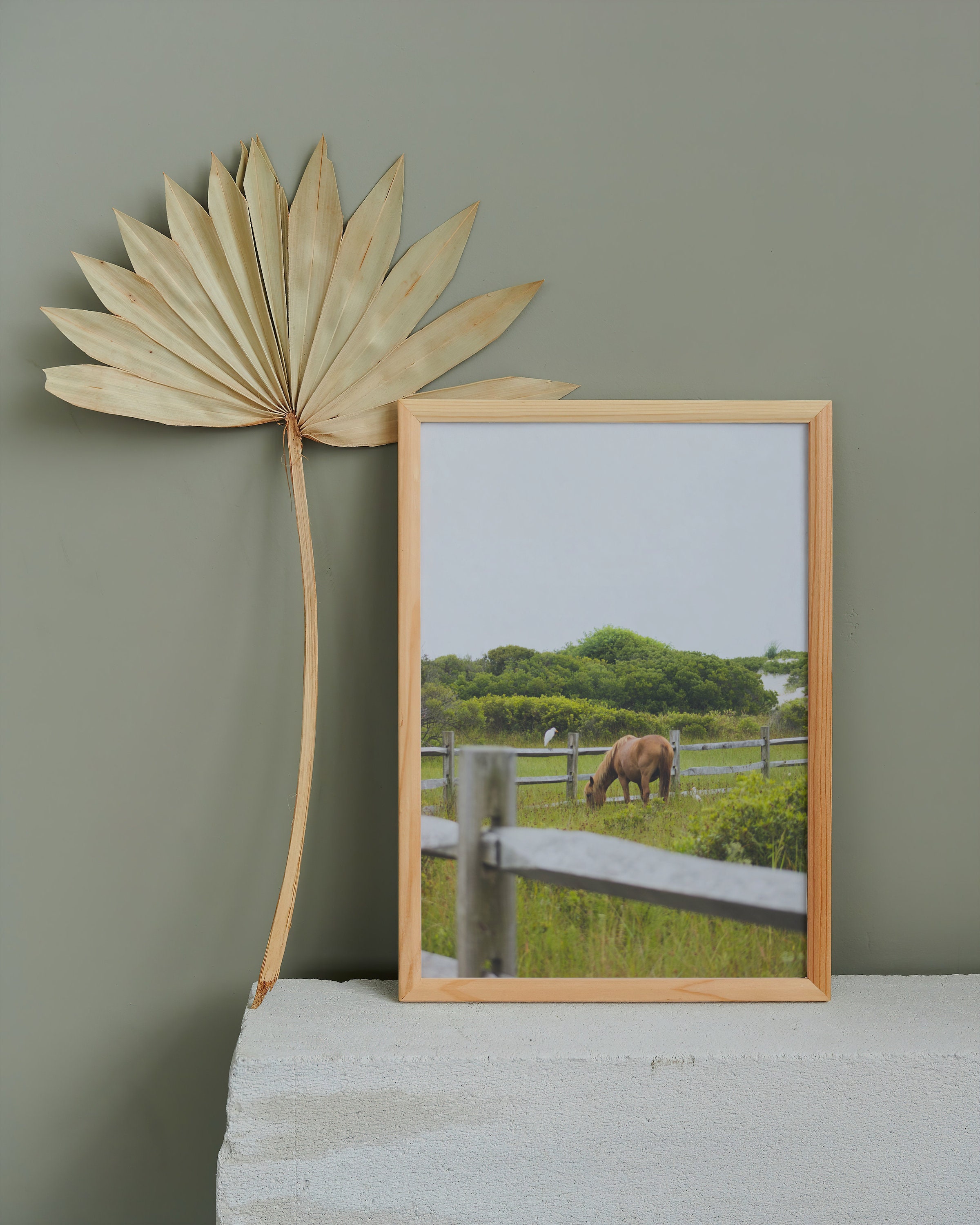 Wild Beach Pony Assateague Island Print - Etsy