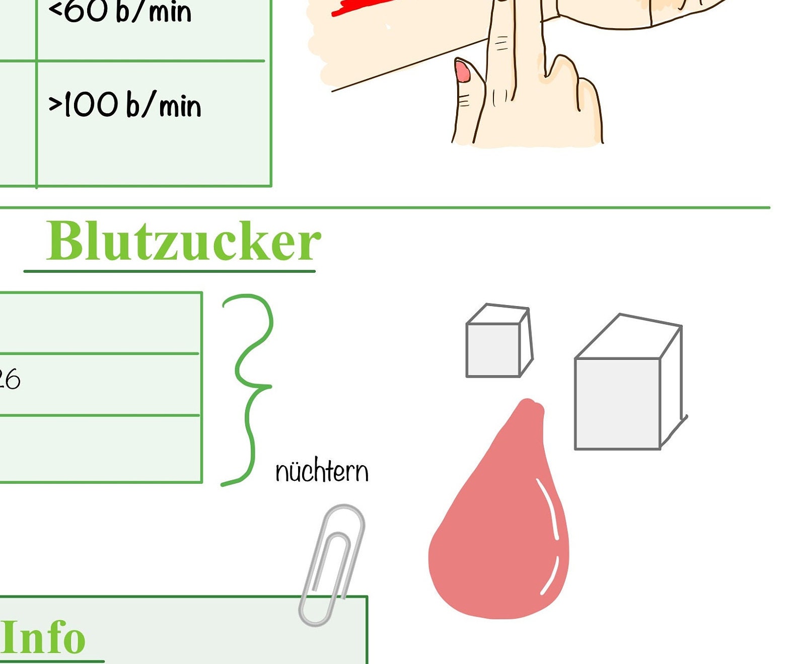 Lernzettel zu Vitalzeichen und zur Krankenbeobachtung - Etsy.de