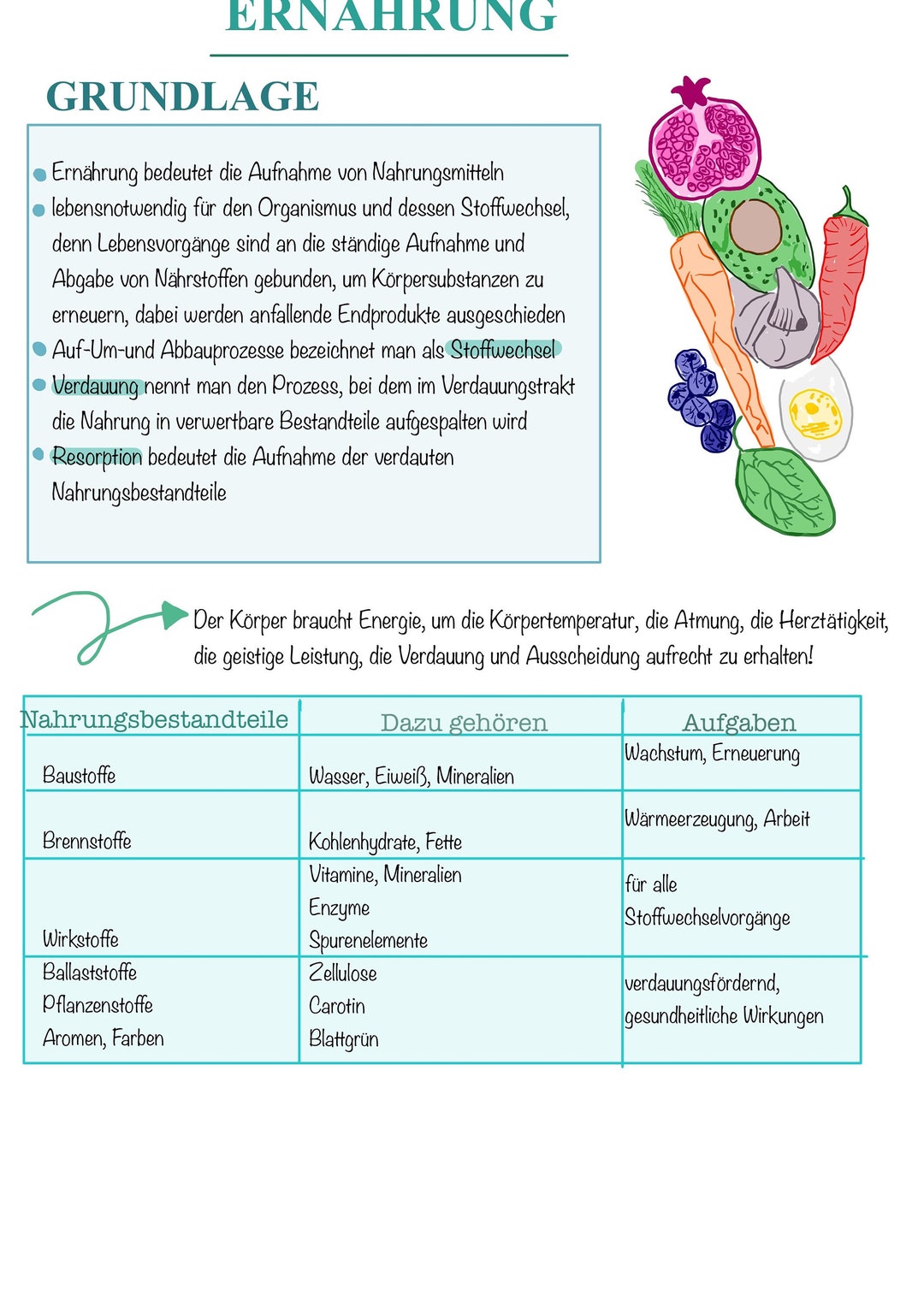 Nutrition Tutorial - Etsy