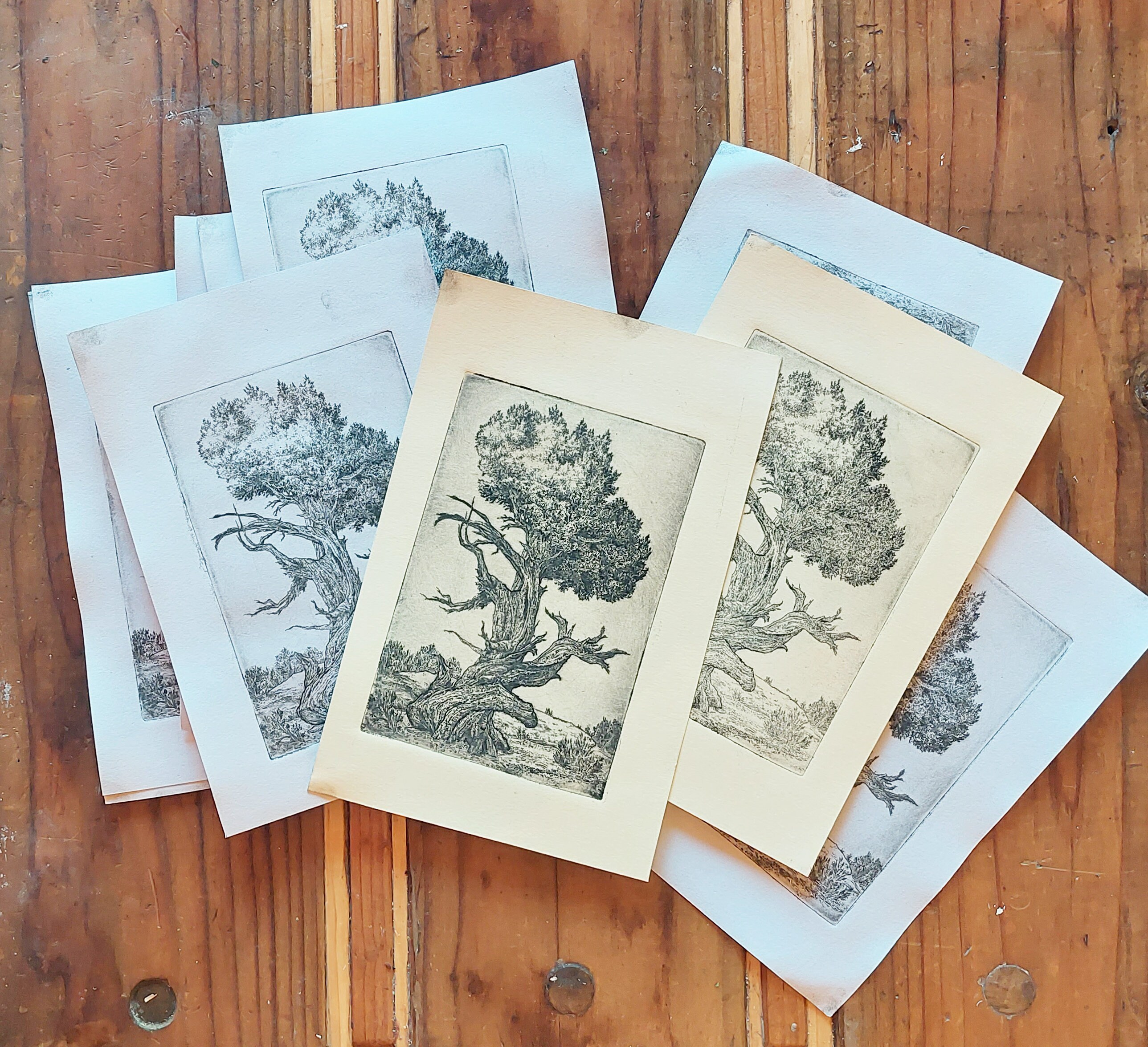 Desert Juniper- Handmade Intaglio Print - Etsy