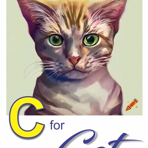 Ultimate Alphabet and Number Flashcards Set A to Z With Examples, 1 to ...