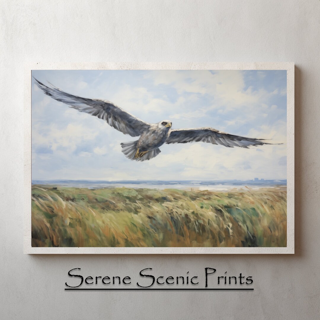 Sovereign Skies Falcon - Digital Print, Majestic Bird in Flight Art ...