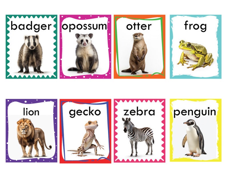 24 Real Life Animal Flash Cards Printable Flashcards Preschool ...