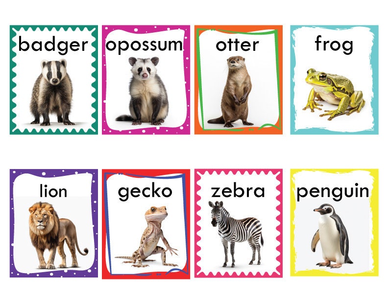24 Real Life Animal Flash Cards Printable Flashcards Preschool ...