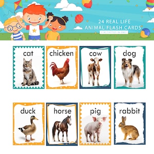 24 Real Life Animal Flash Cards Printable Flashcards Preschool ...